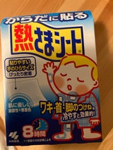 小林製薬 からだに貼る 熱さまシート 14枚（小林製薬）の口コミ・レビュー・評判、評価点数 | ものログ