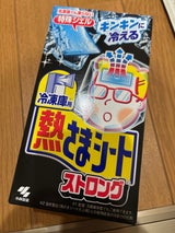 冷凍庫用 熱さまシートストロング 大人用 12枚（小林製薬）の口コミ・レビュー・評判、評価点数 | ものログ